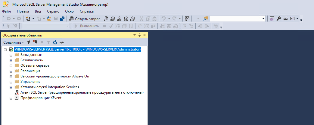Установка MS IIS и MS SQL Server на Windows Server